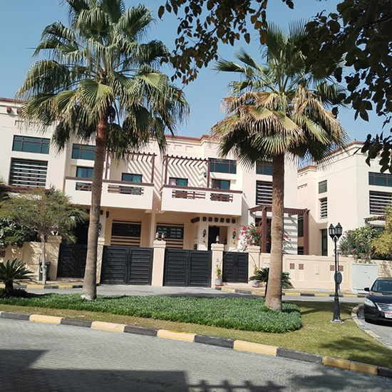 Golden Garden Flowers Abu Dhabi