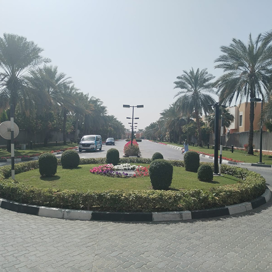 Golden Garden Flowers Abu Dhabi