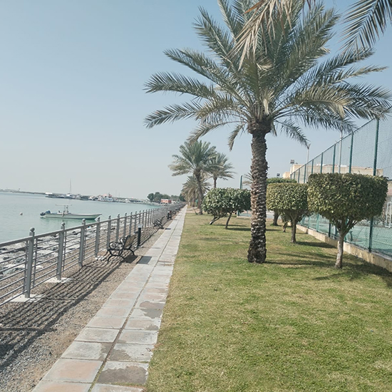 Golden Garden Flowers Abu Dhabi